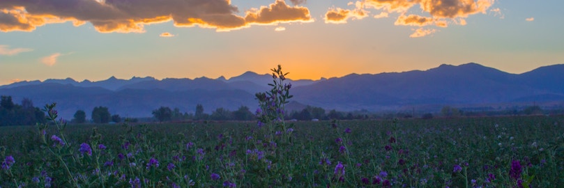 Construction de maison : bien choisir le terrain